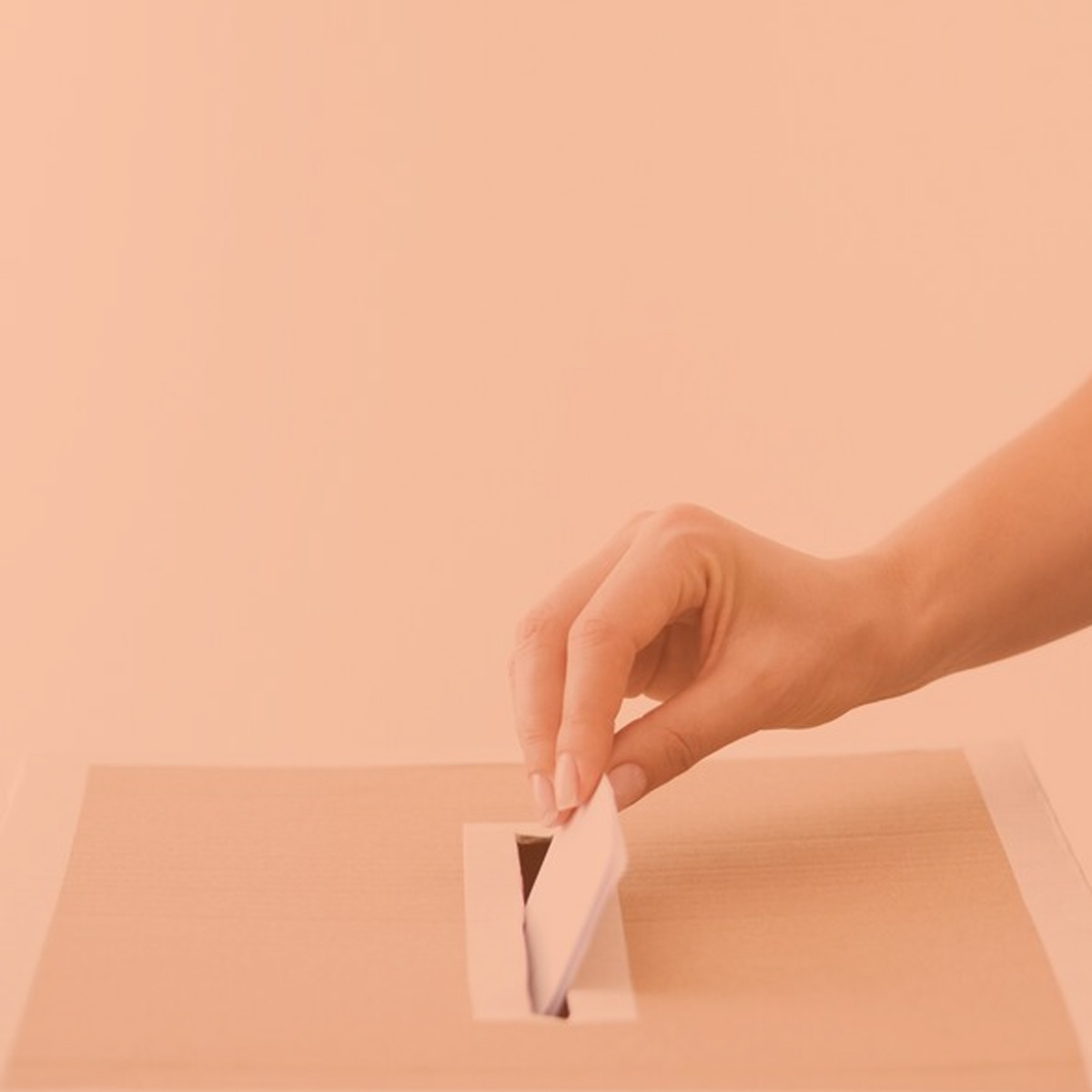 ขอเชิญชวนใช้สิทธิลงความคิดเห็นยอมรับหรือไม่ยอมรับผู้สมัครเป็นคณะกรรมการกองทุนสำรองเลี้ยงชีพ มจธ. ...